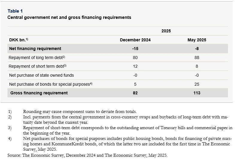 Central government financing requirements for 2025 - Ministry of Finance